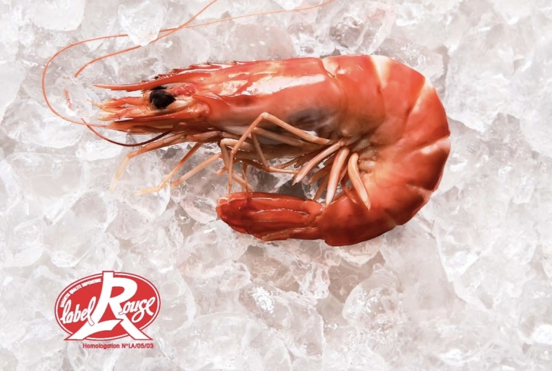 Unima – Crevettes de Madagascar